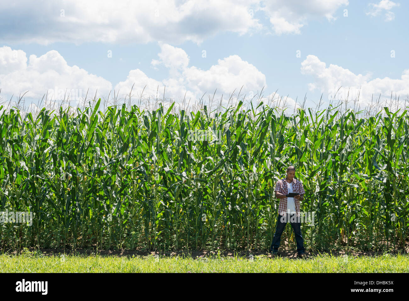 Man standing and working hi-res stock photography and images - Alamy