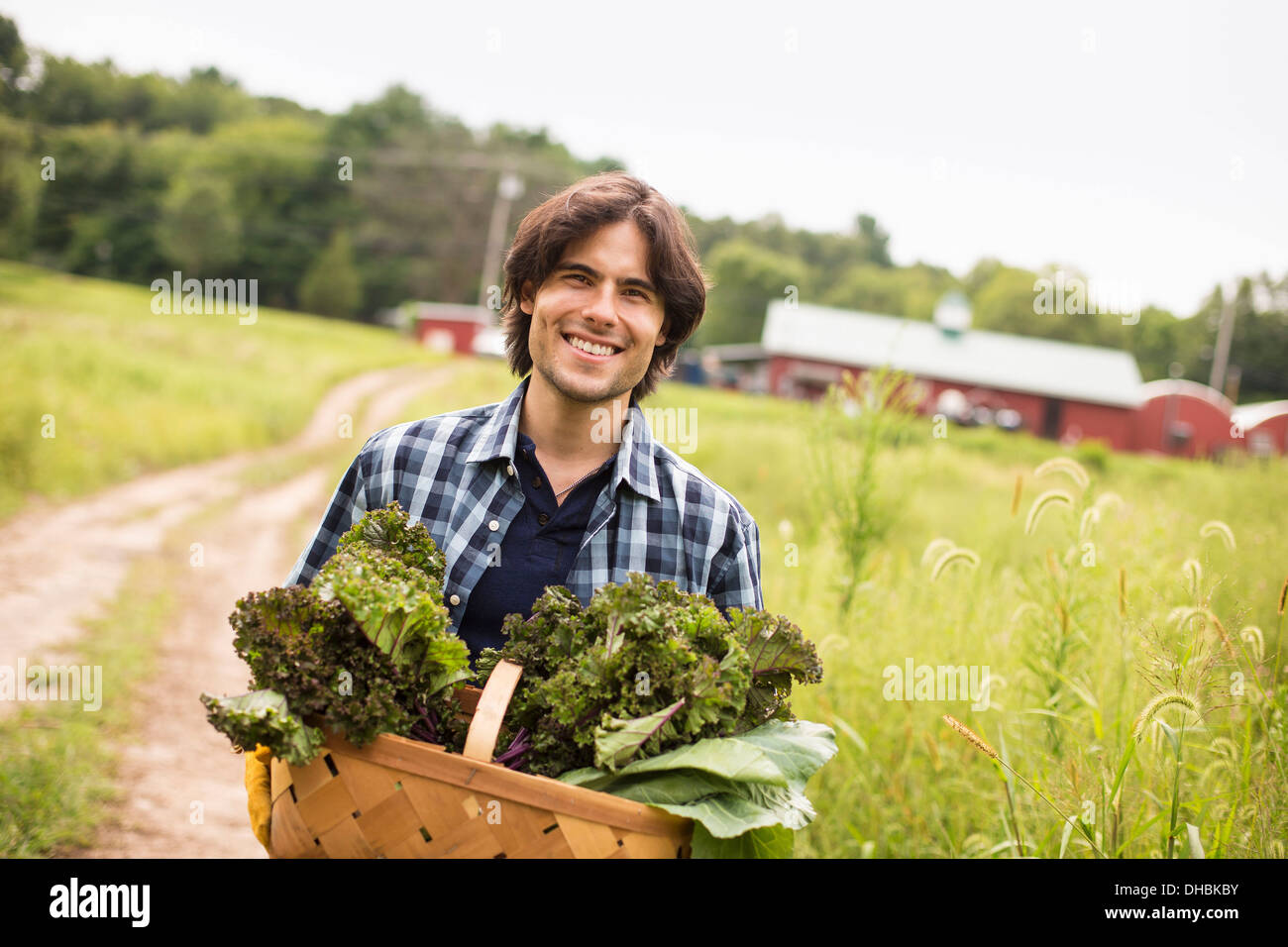 A man carrying a basket full of fresh picked organic vegetables ...