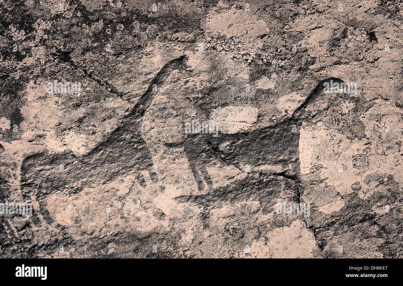 Rock engraving. animal hi-res stock photography and images - Alamy
