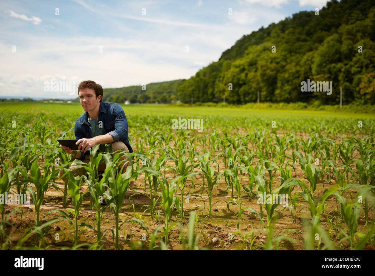 Farmer grain fields hi-res stock photography and images - Alamy