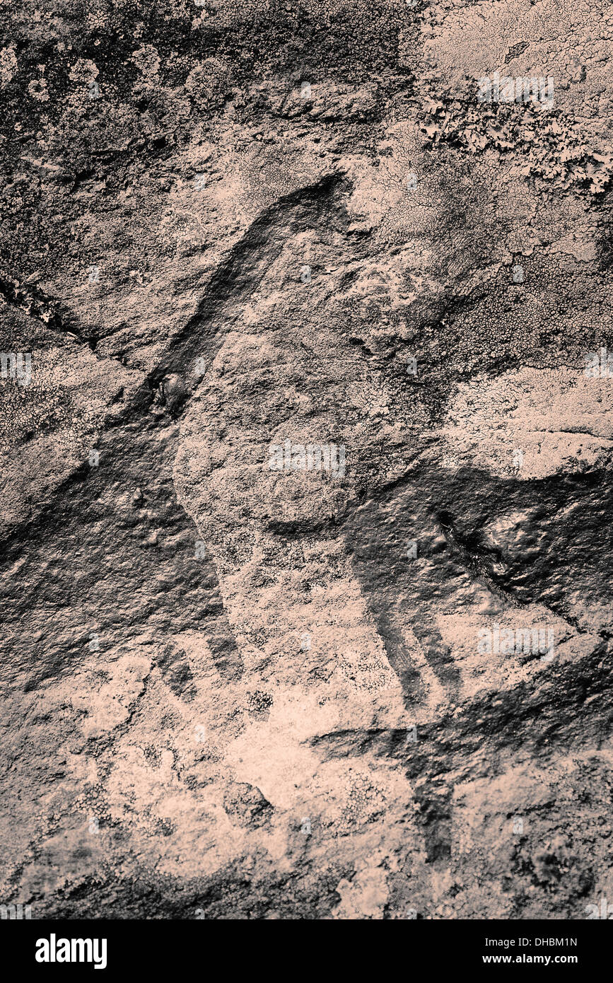 Rock engraving. animal hi-res stock photography and images - Alamy