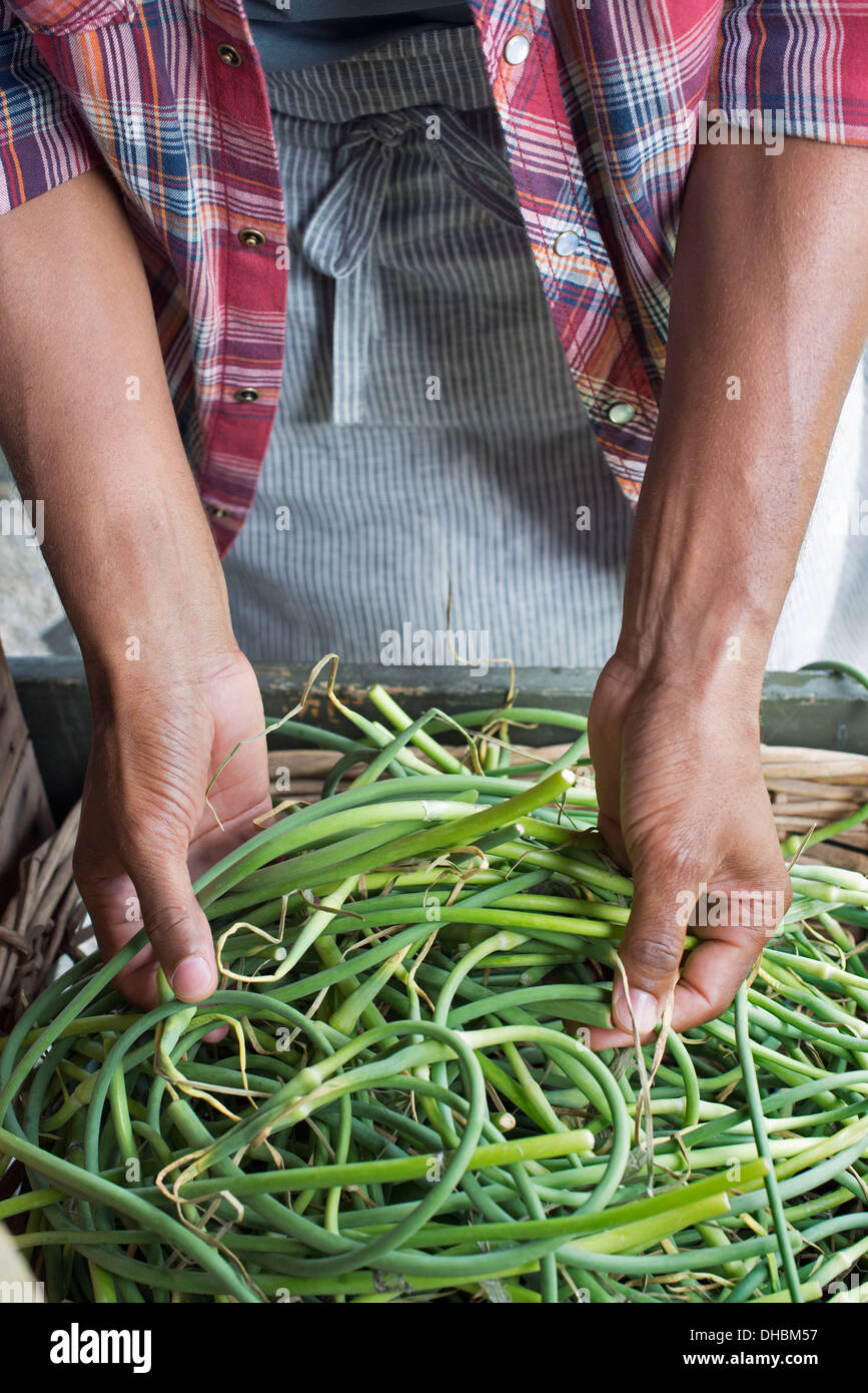 Organic Farming. A man packing green beans in a crate Stock Photo - Alamy