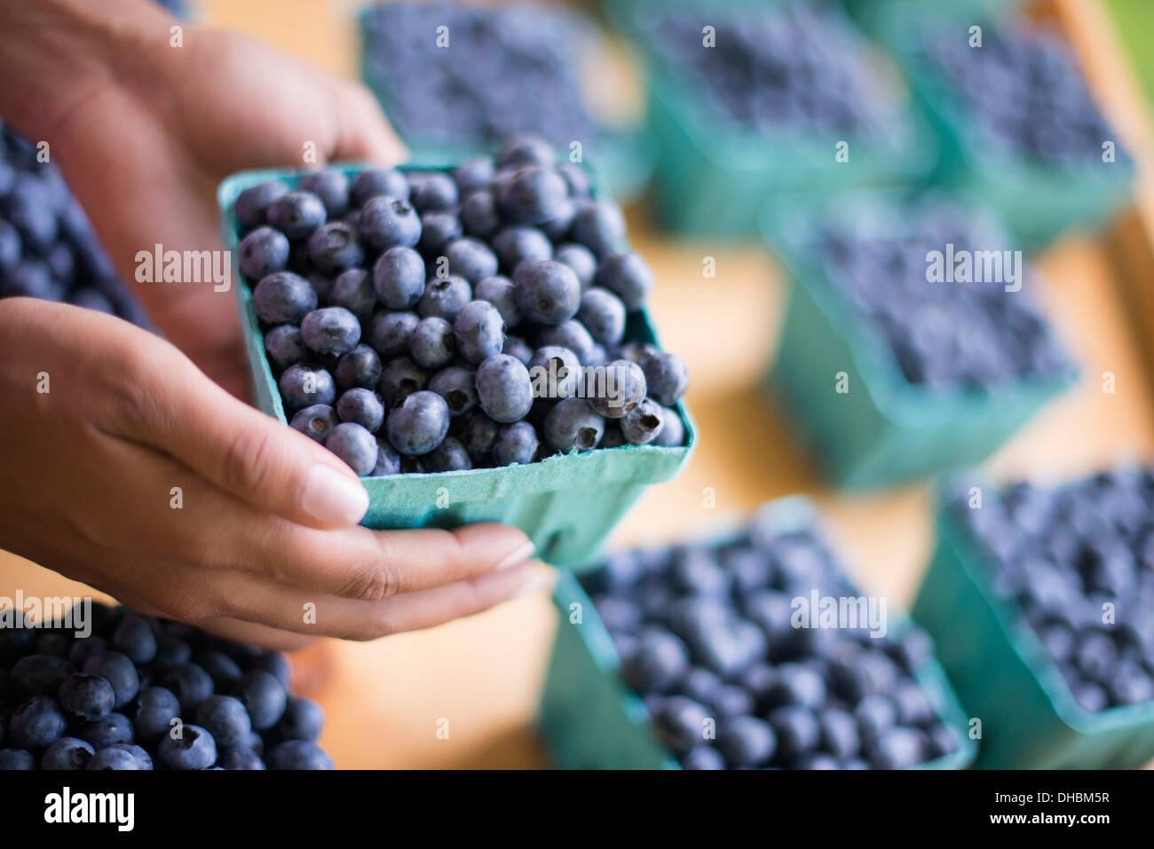 Organic fruit displayed on a farm stand. Blueberries in punnets Stock ...
