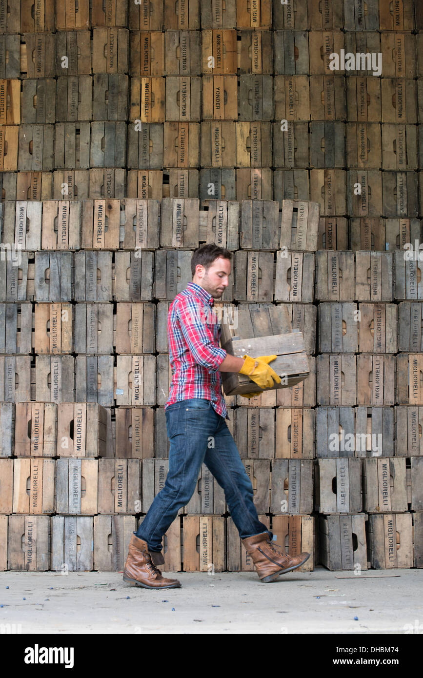 Fruit crates hi-res stock photography and images - Alamy