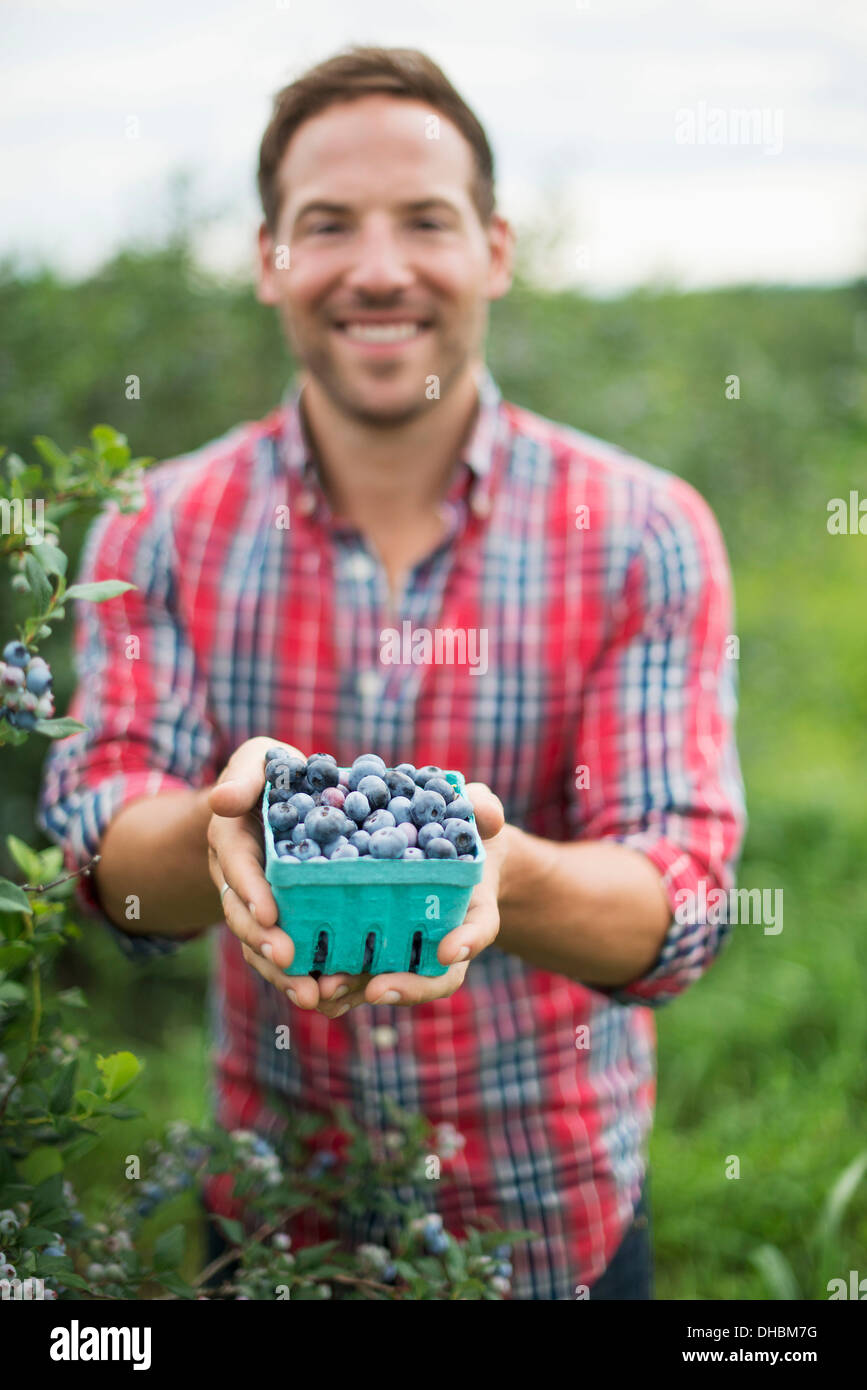 Picking touching hi-res stock photography and images - Alamy