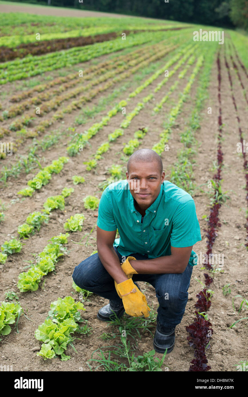 Man in a field hi-res stock photography and images - Alamy