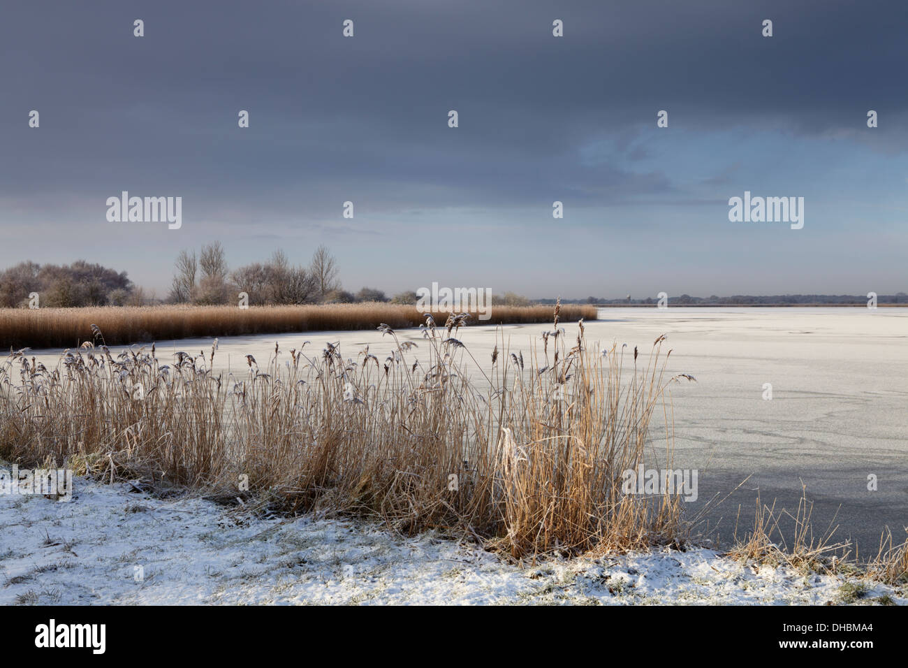A winter scene from Horsey Mere in the Norfolk Broads Stock Photo - Alamy