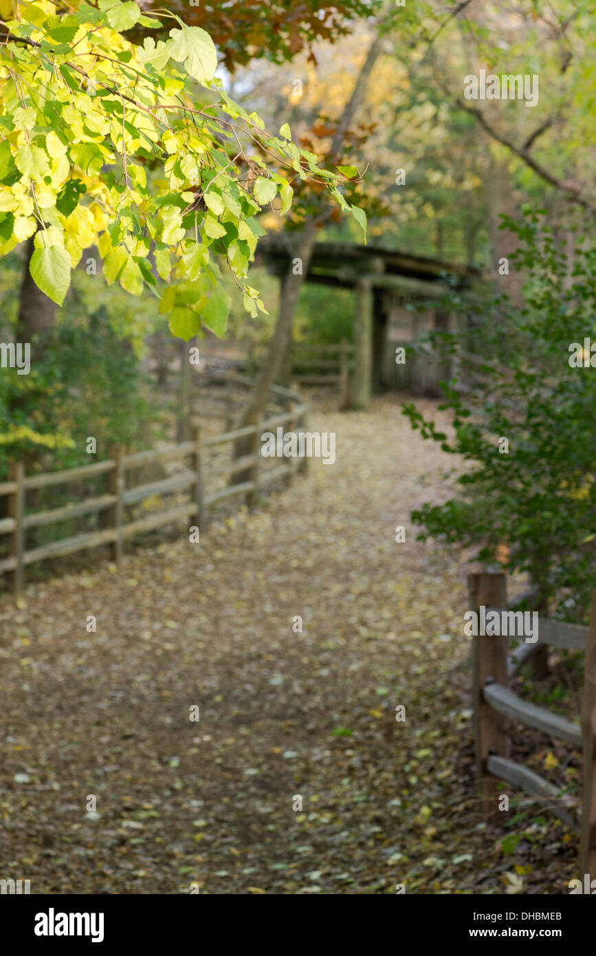Sunset in the park. Great for backgrounds Stock Photo - Alamy