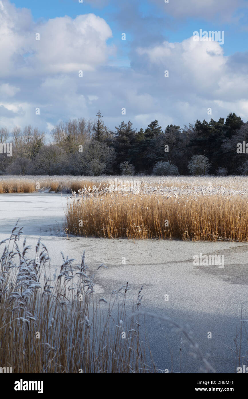 A winter scene from Horsey Mere in the Norfolk Broads Stock Photo - Alamy
