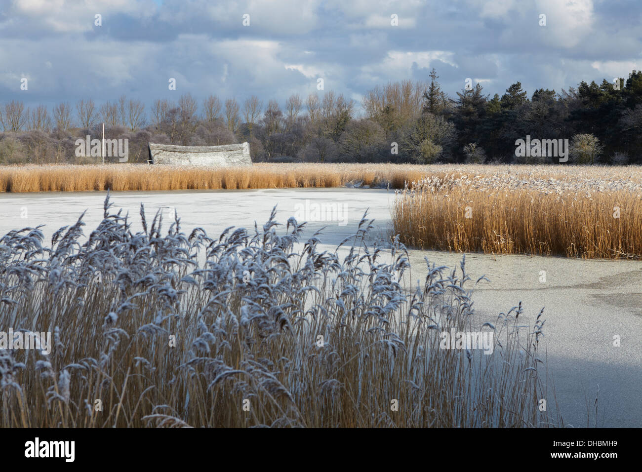 A winter scene from Horsey Mere in the Norfolk Broads Stock Photo - Alamy