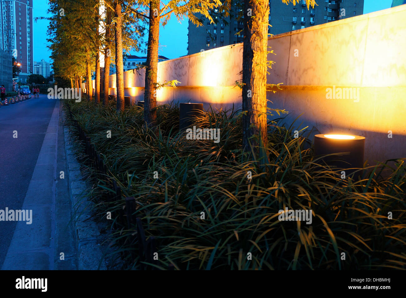 Light illuminating trees, Shanghai, China Stock Photo - Alamy