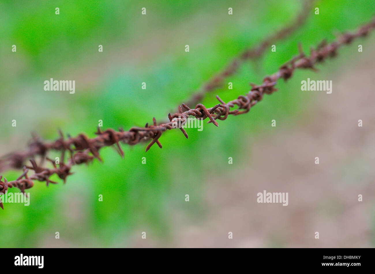 Rusty barbed wire on green background Stock Photo - Alamy