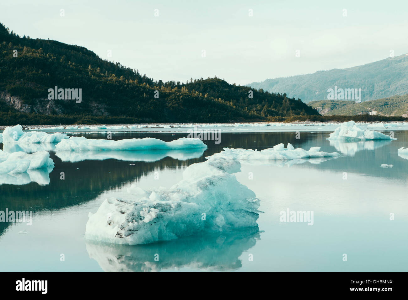 Icebergs floating off the shore at the end of the McBride Glacier, off ...