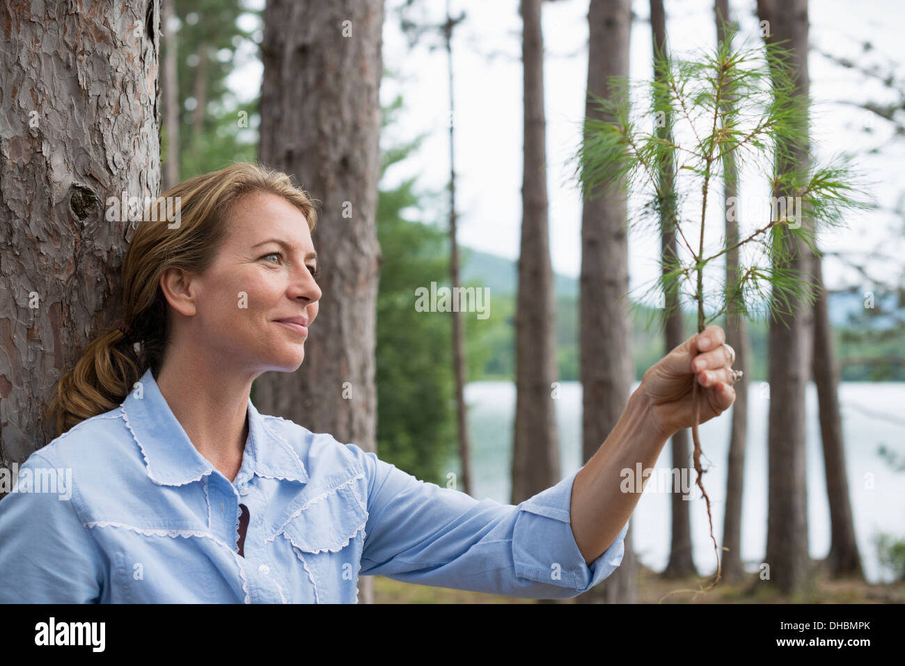 Woman standing among trees hi-res stock photography and images - Alamy