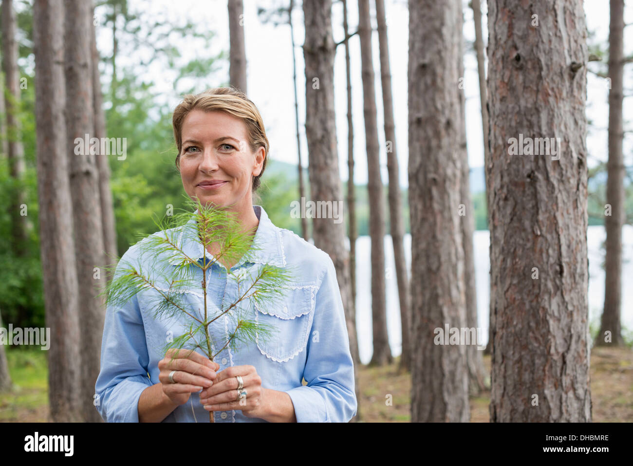 Woman standing among trees hi-res stock photography and images - Alamy