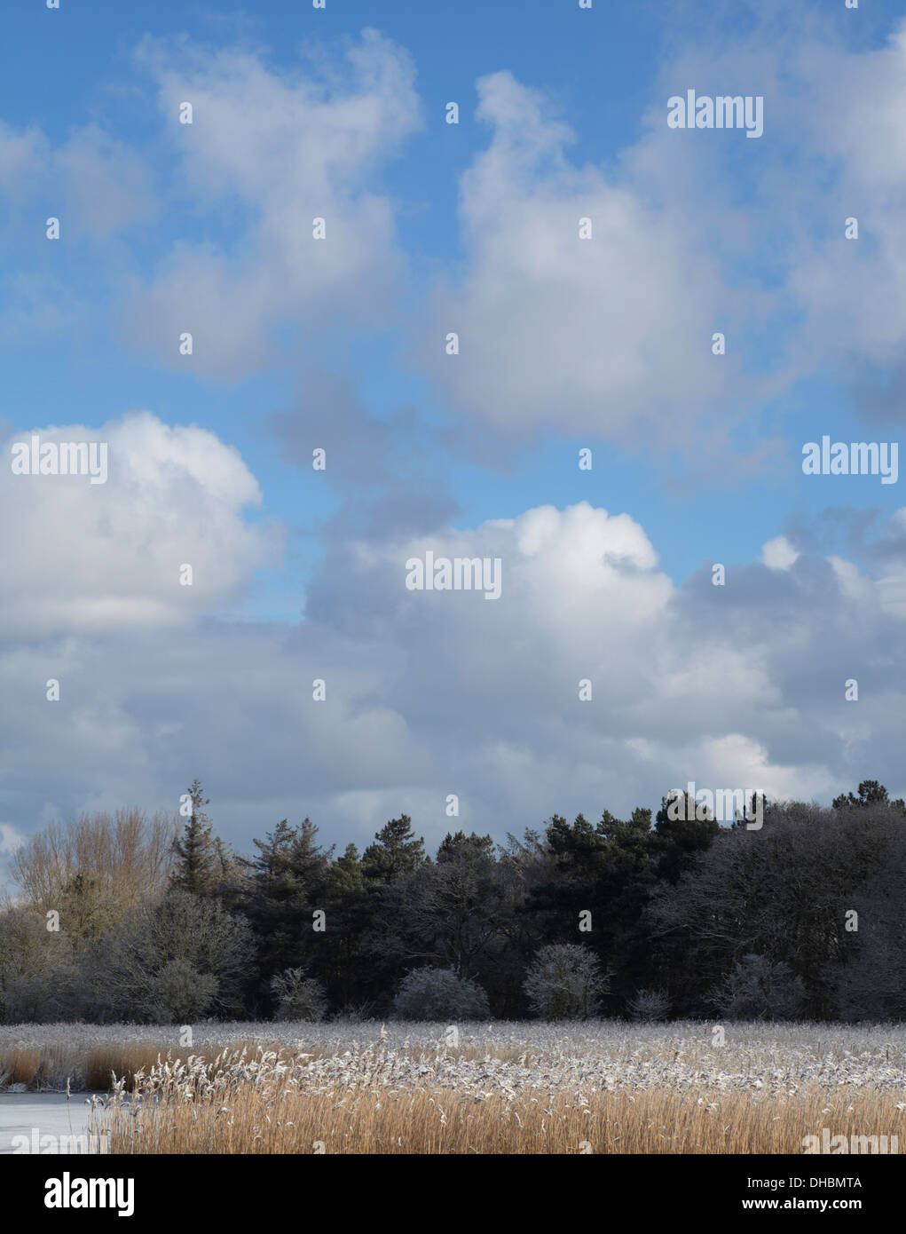 A winter scene from Horsey Mere in the Norfolk Broads Stock Photo - Alamy