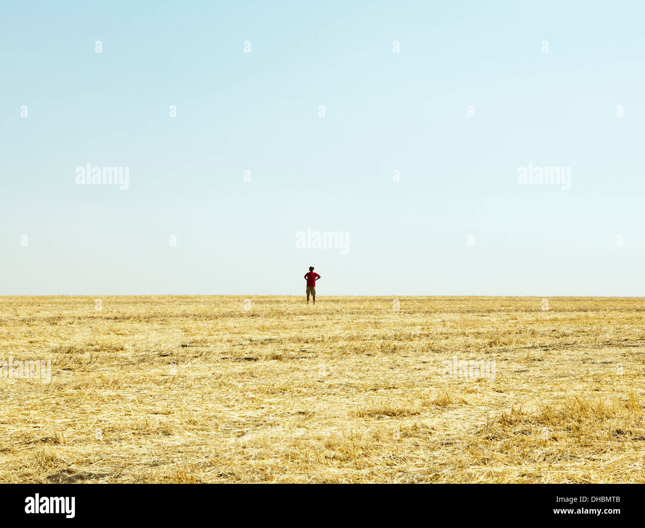 Horizon on a field hi-res stock photography and images - Alamy