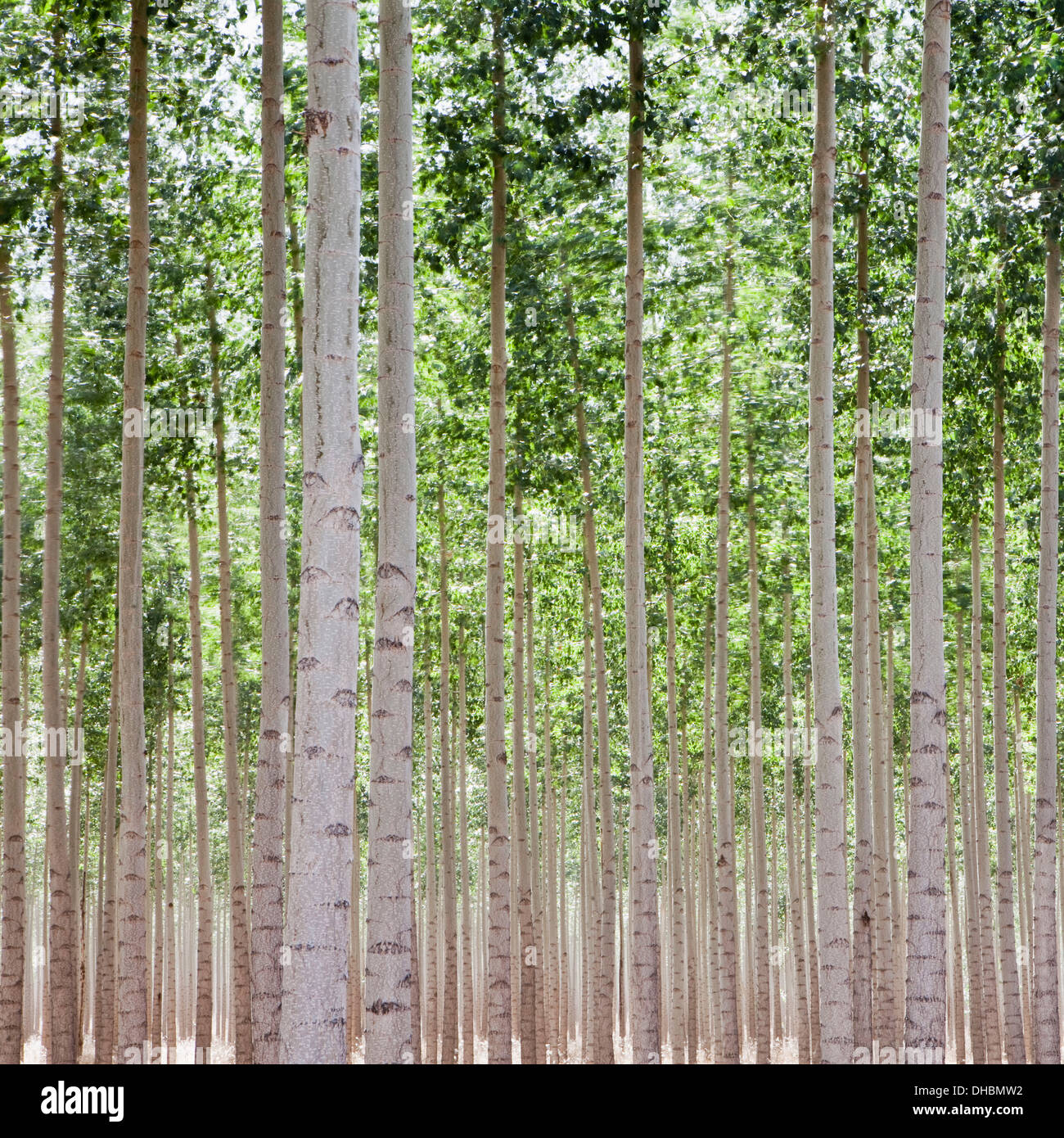 Umatilla county hi-res stock photography and images - Alamy