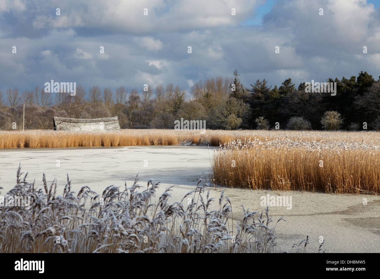 A winter scene from Horsey Mere in the Norfolk Broads Stock Photo - Alamy