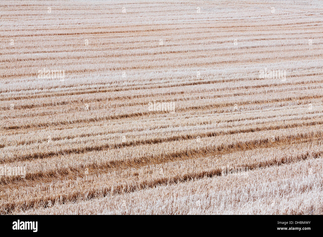 Flat prairie land hi-res stock photography and images - Alamy