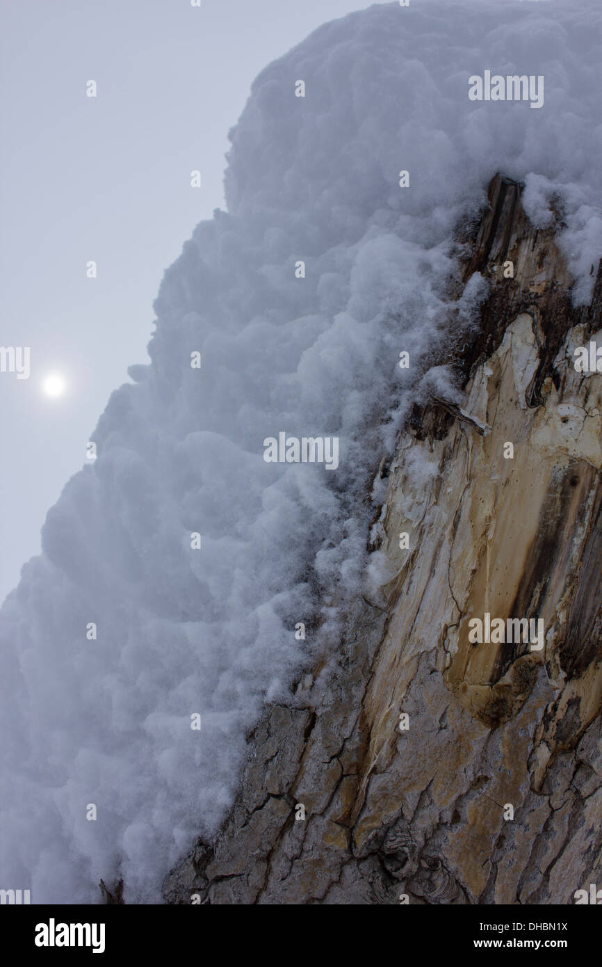 Tree stump covered with snow hi-res stock photography and images - Alamy
