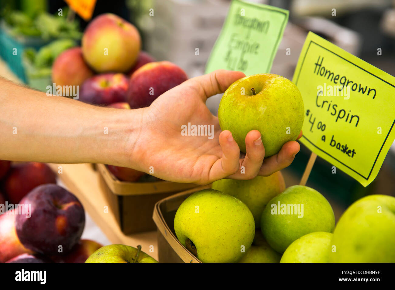 A farm stand with fresh fruit on display. A person selecting apples ...