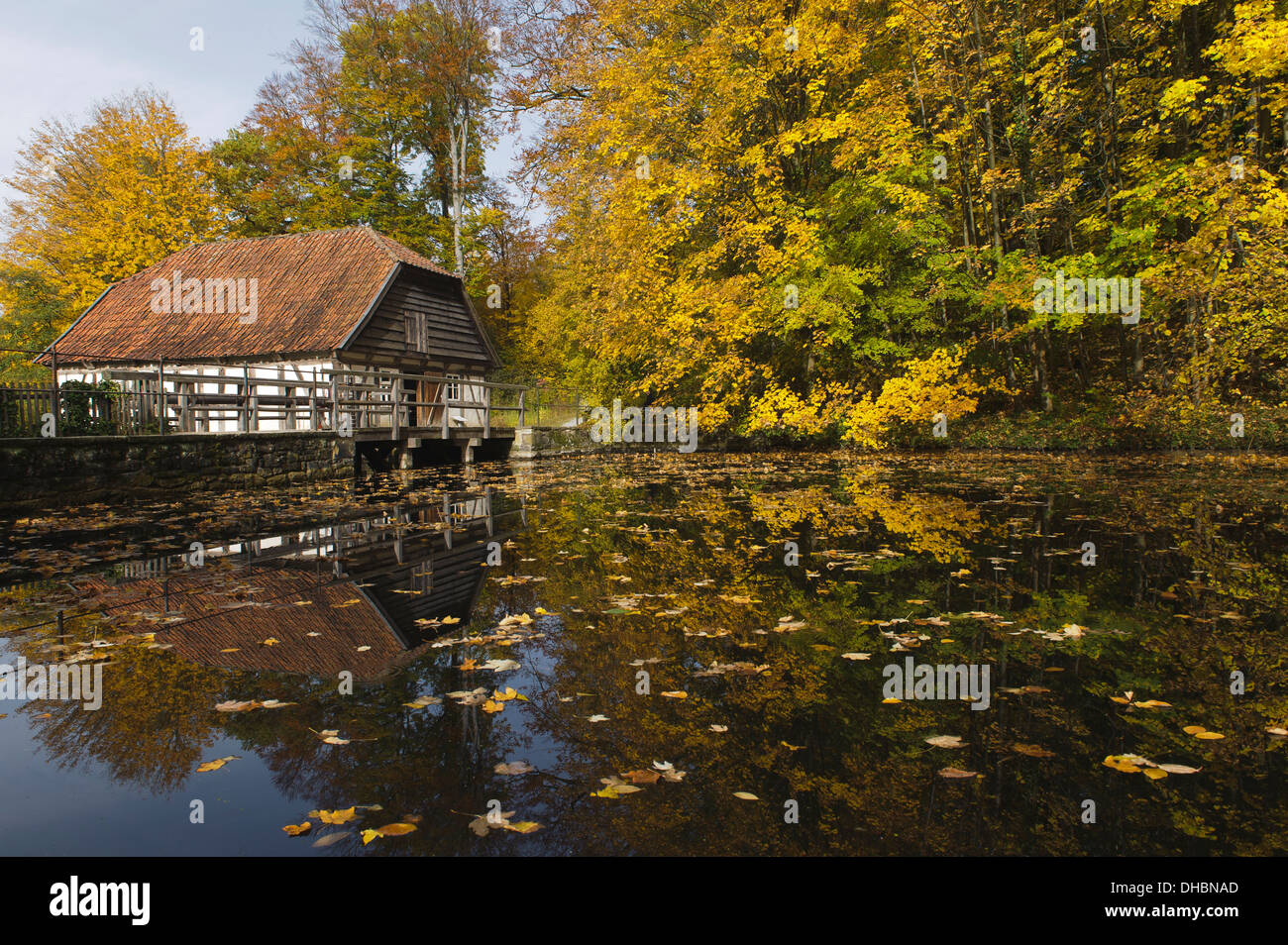 Millpond in front of an old water mill from the eighteenth century ...