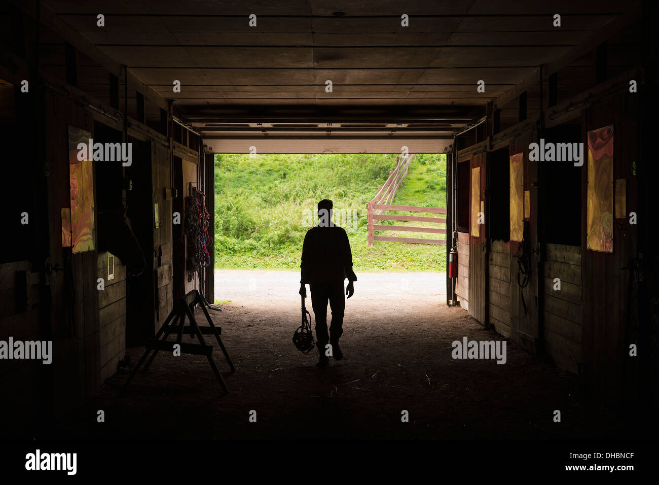 An organic farm in the Catskills. A man walking through a stable Stock ...