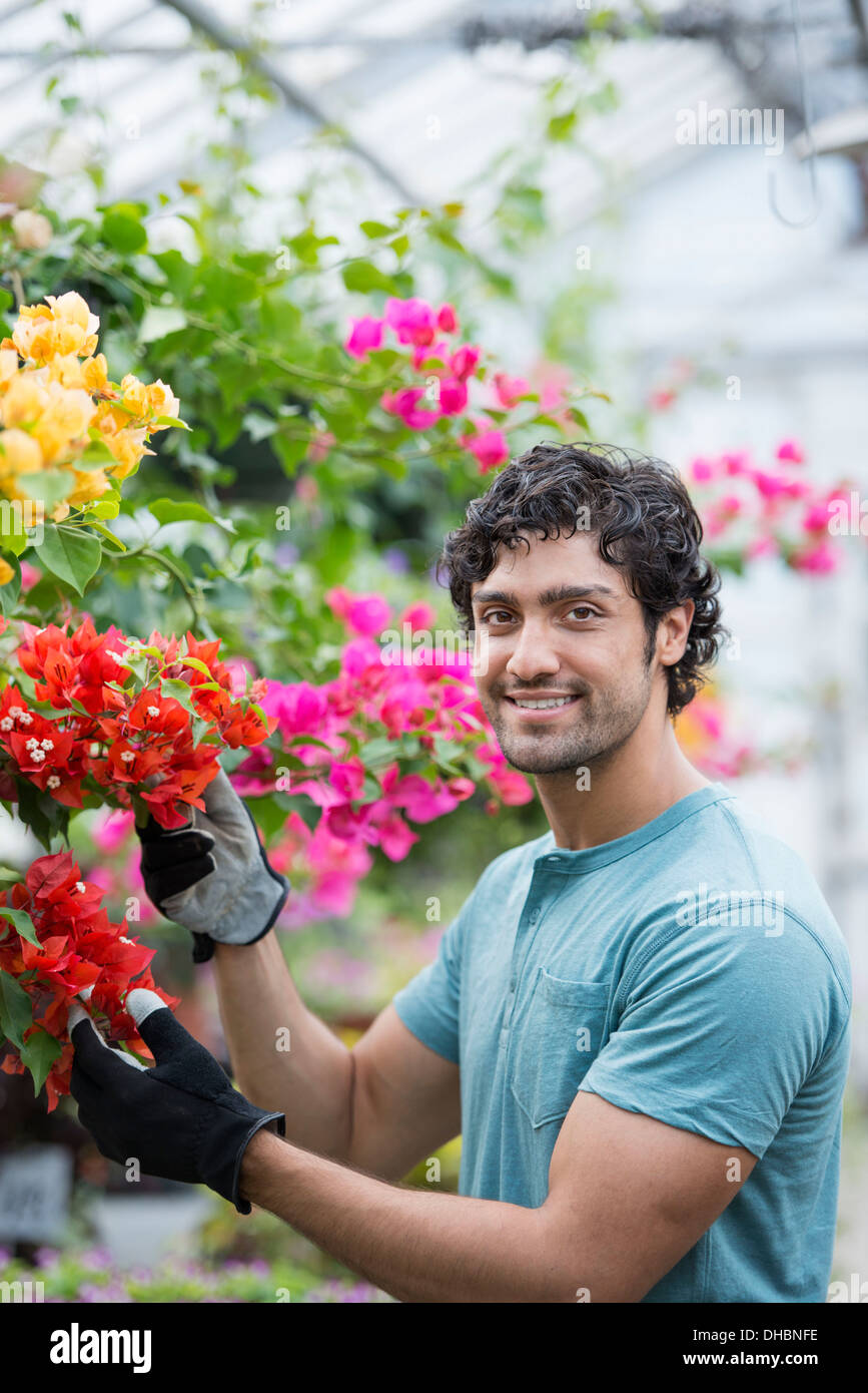 Flower basket greenhouse hi-res stock photography and images - Alamy