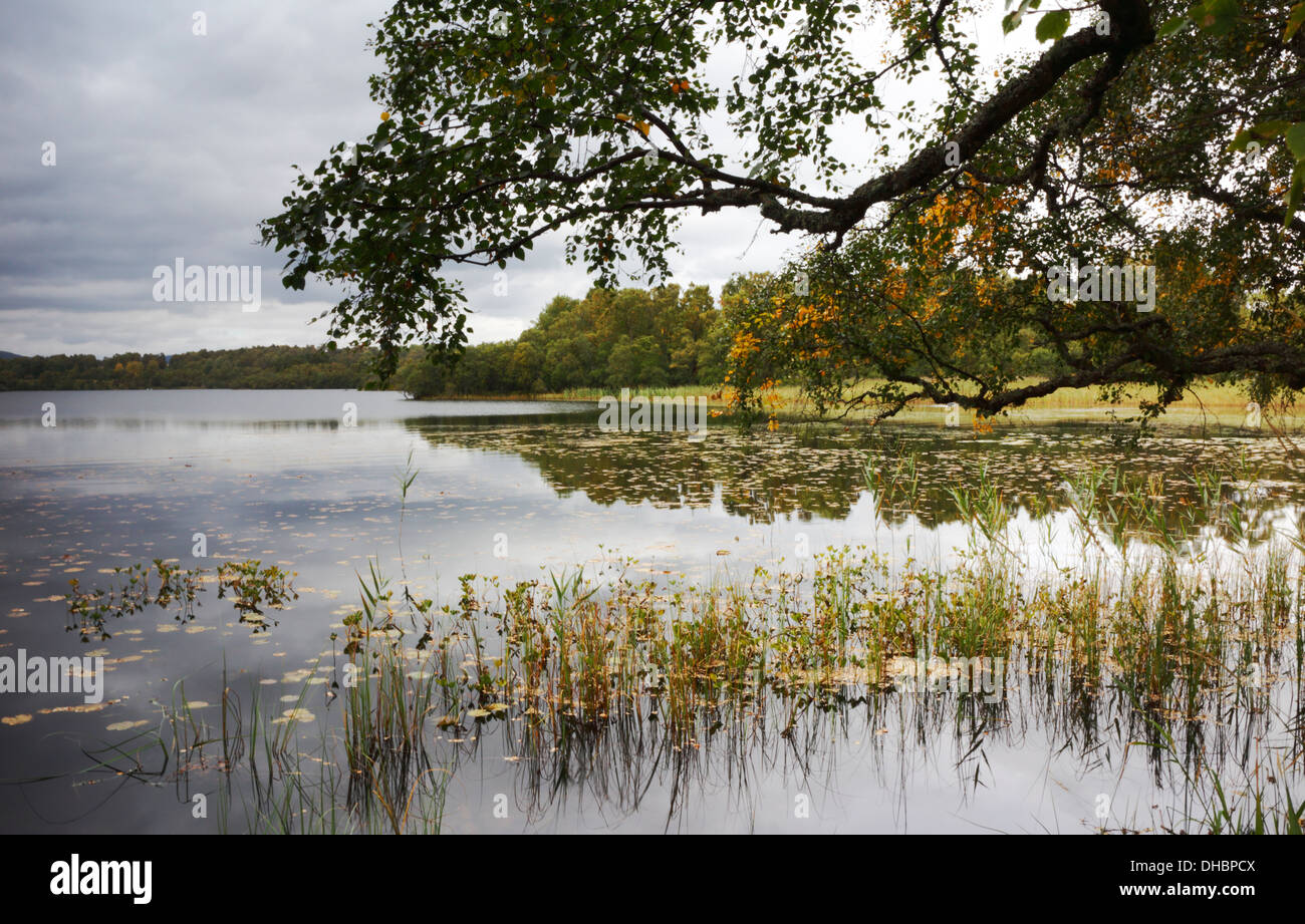 A view of Loch Kinord on the Muir of Dinnet National Nature Reserve ...