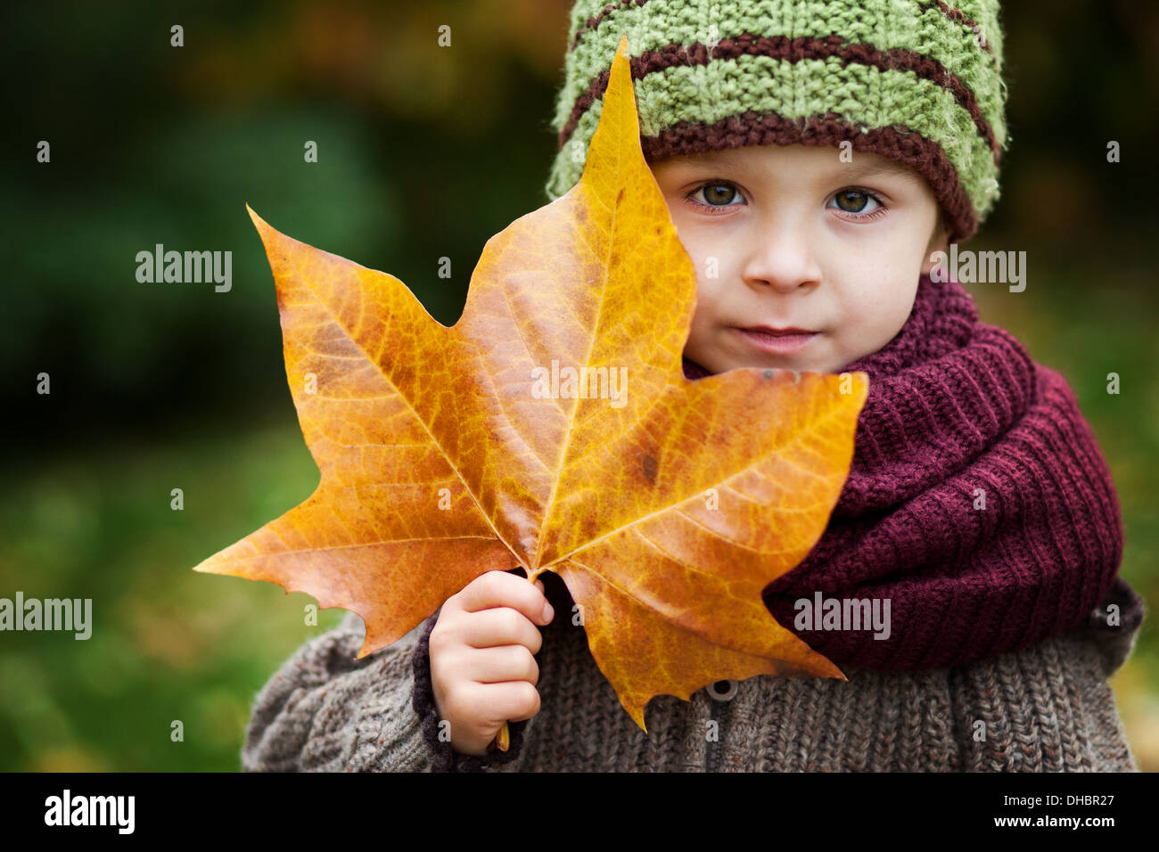 Boy with big leaf Stock Photo - Alamy