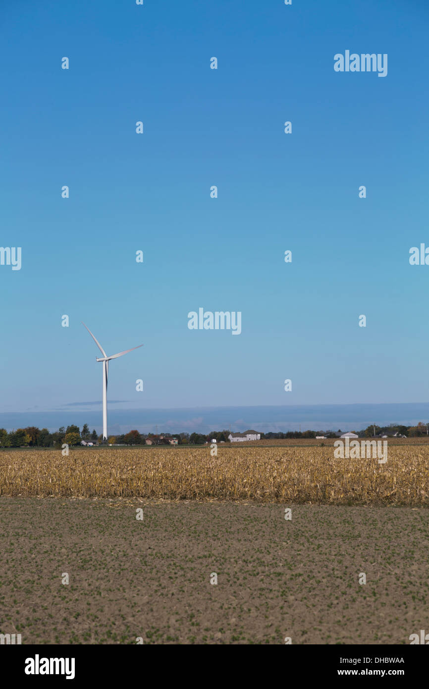 Farm Windmill Wind Mill Windmills Trees Grass Stock Photo - Alamy