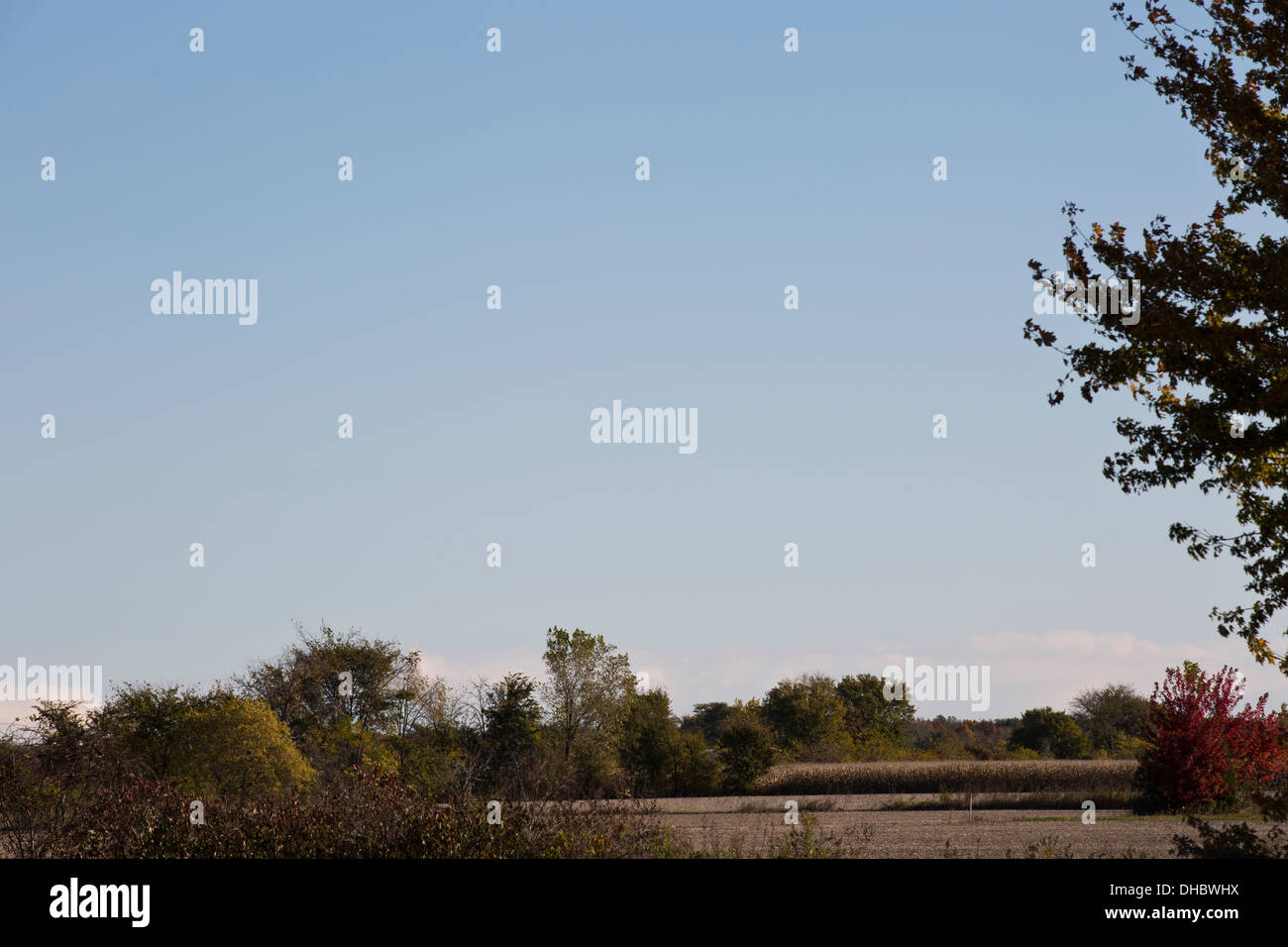 Farm Windmill Wind Mill Windmills Trees Grass Stock Photo - Alamy