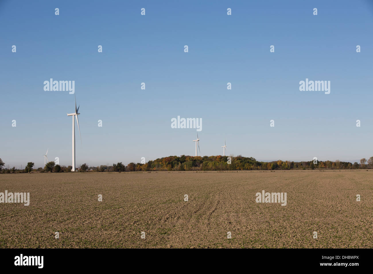 Farm Windmill Wind Mill Windmills Trees Grass Stock Photo - Alamy