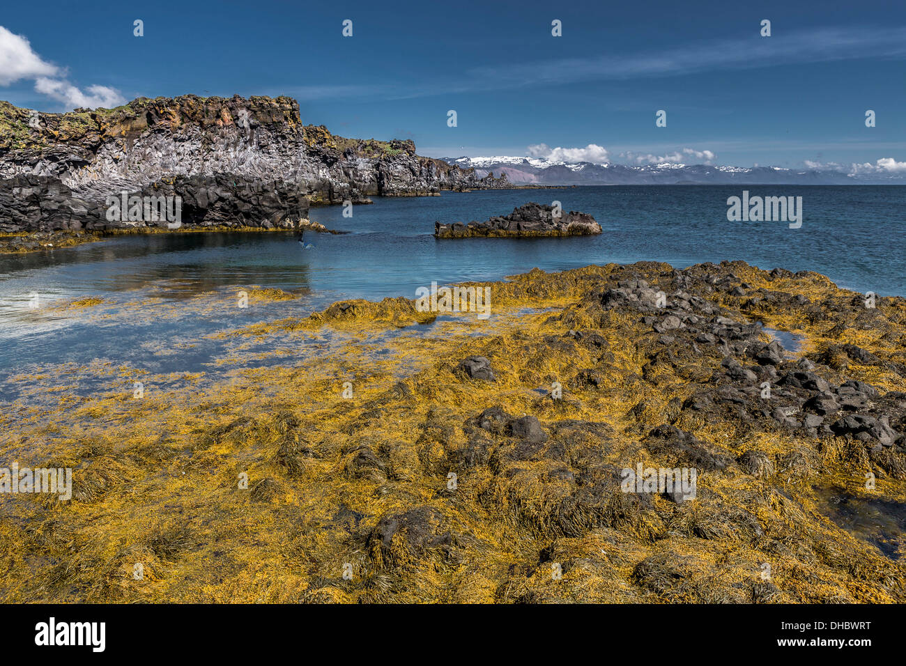 Landscape, Arnarstapi, Snaefellsnes Peninsula, Iceland Stock Photo - Alamy