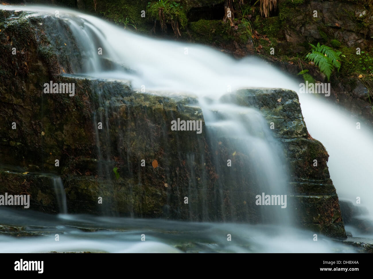 Wester ross and scotland and forest hi-res stock photography and images ...
