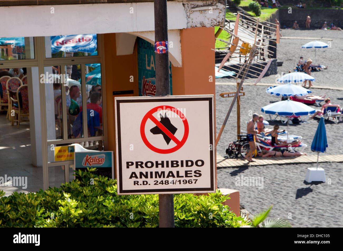 Sign in Spanish Prohibiting animals from Playa Arena Beach, Tenerife ...