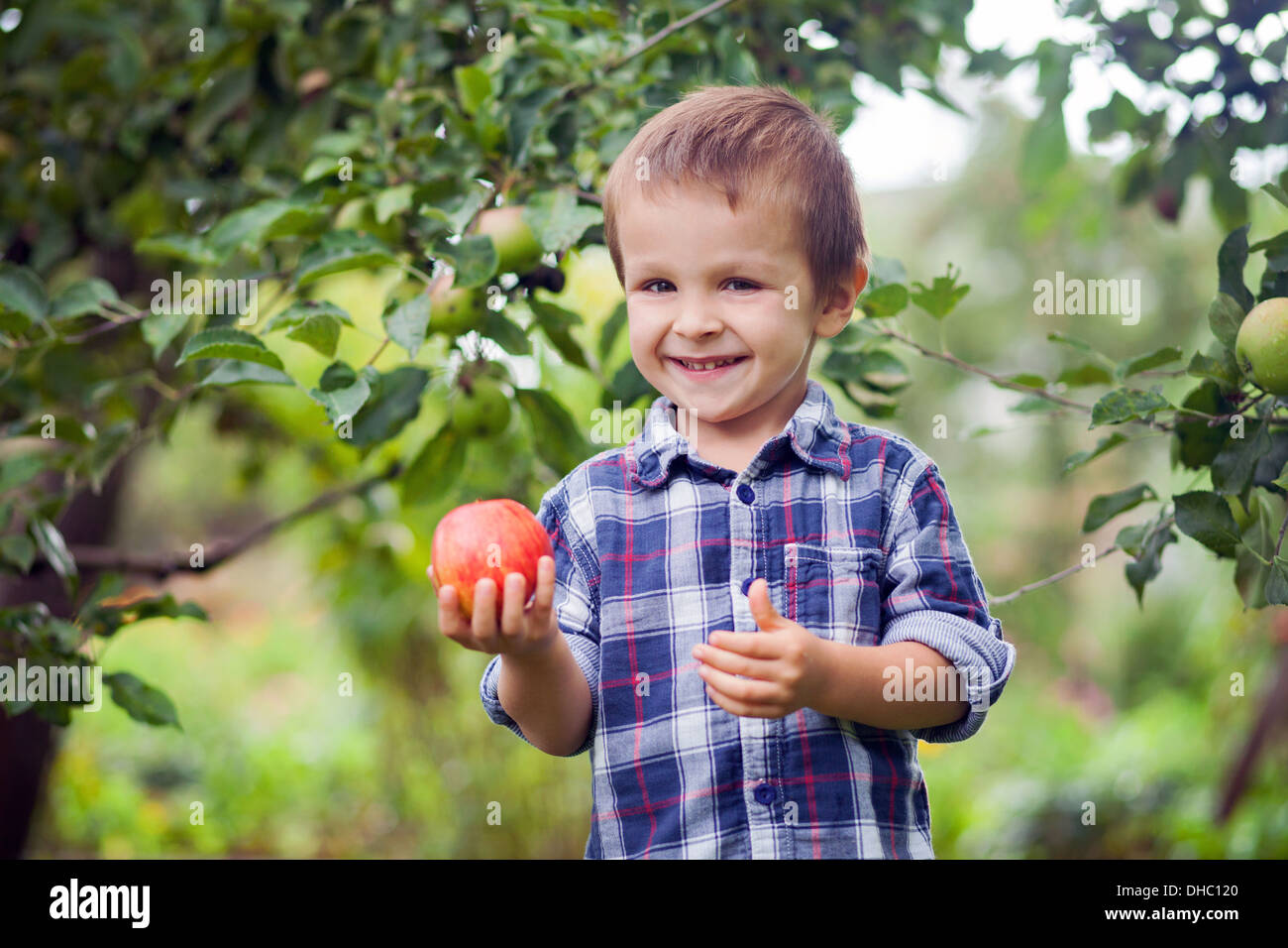 Boy with apple Stock Photo - Alamy
