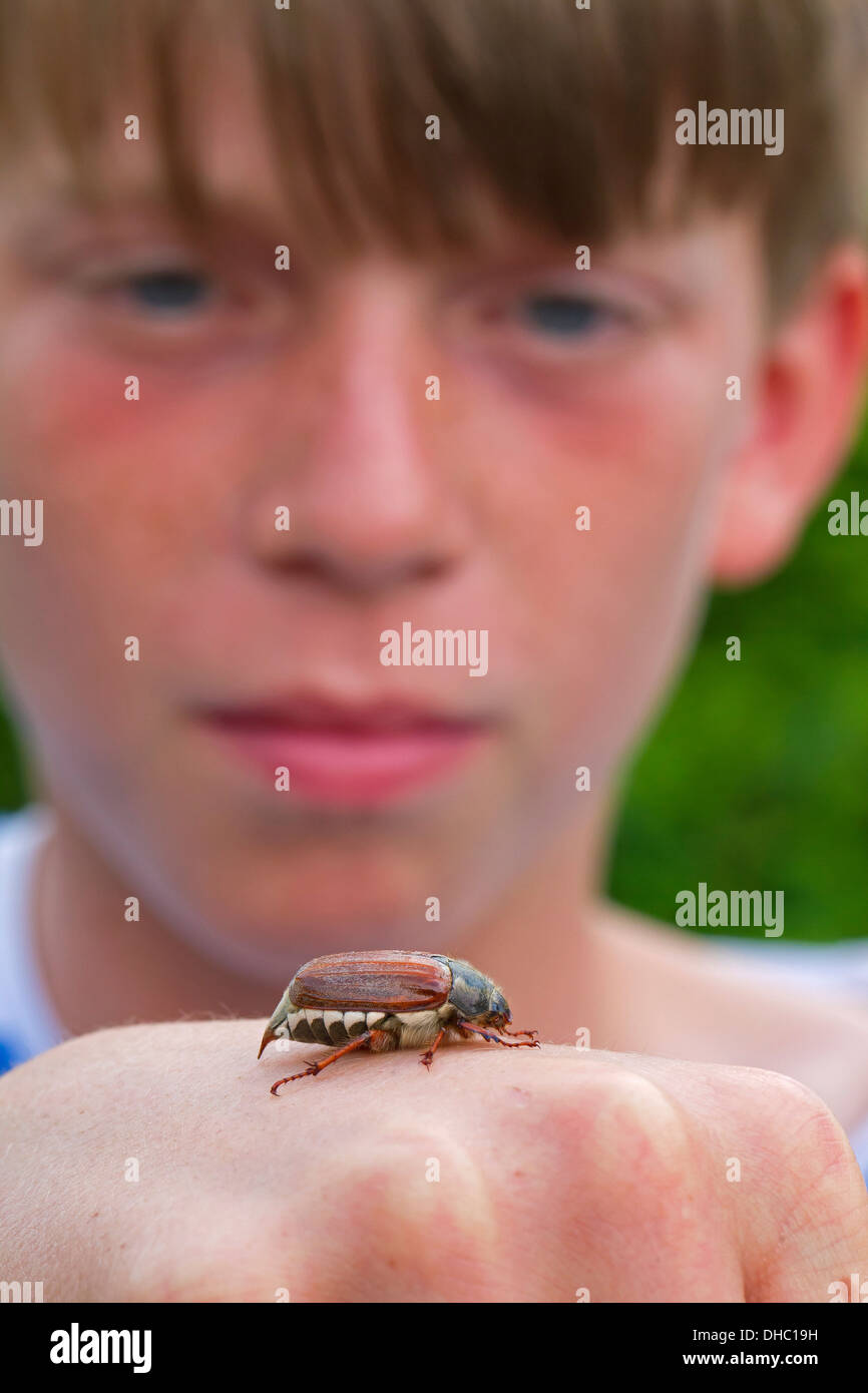 Observing insects hi-res stock photography and images - Alamy