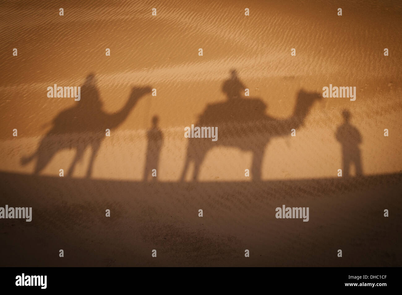Shadow Of Camels With Riders On The Sand; India Stock Photo - Alamy