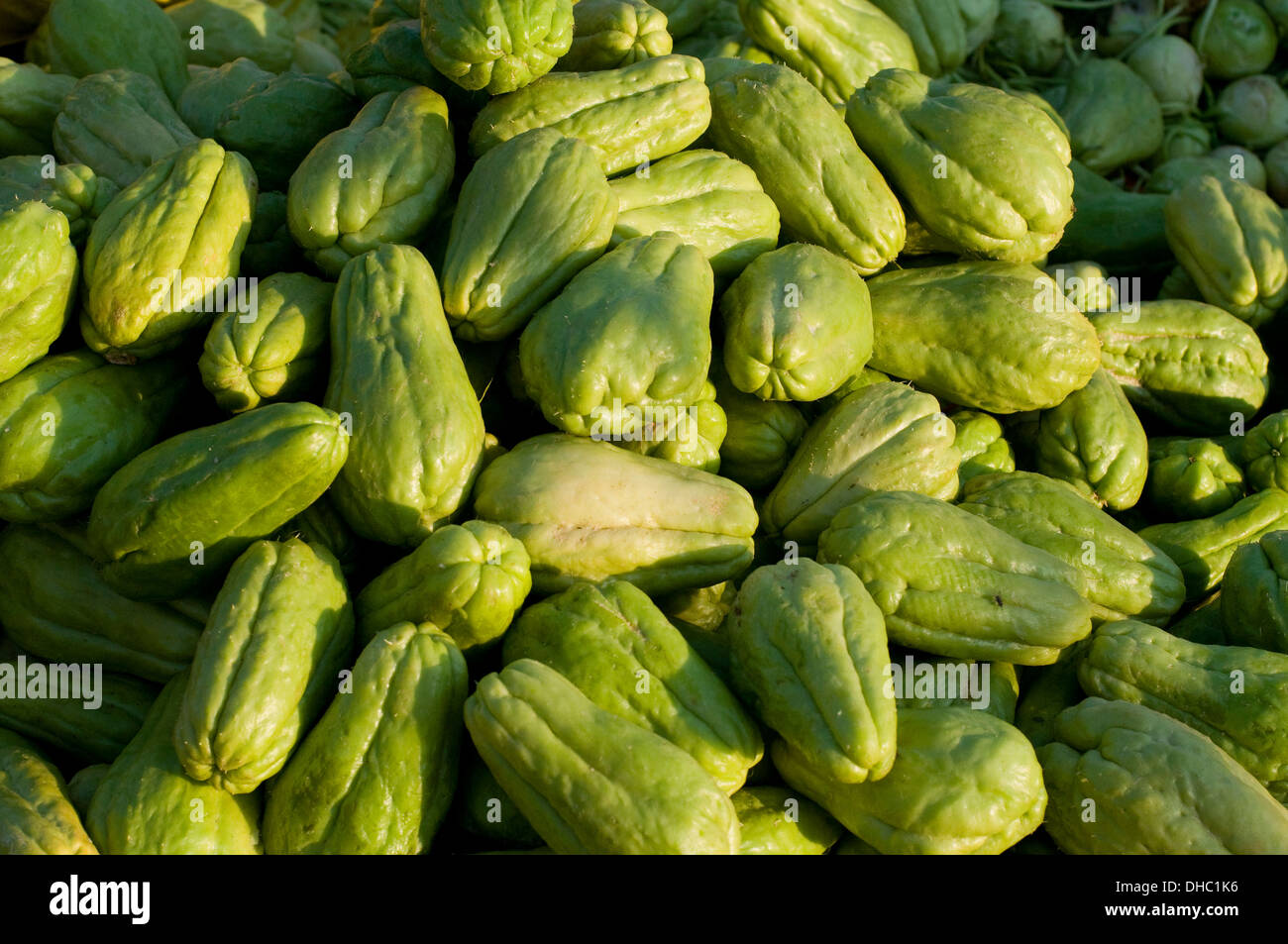 Green Indian traditional vegetable laid out on the ground in the market ...