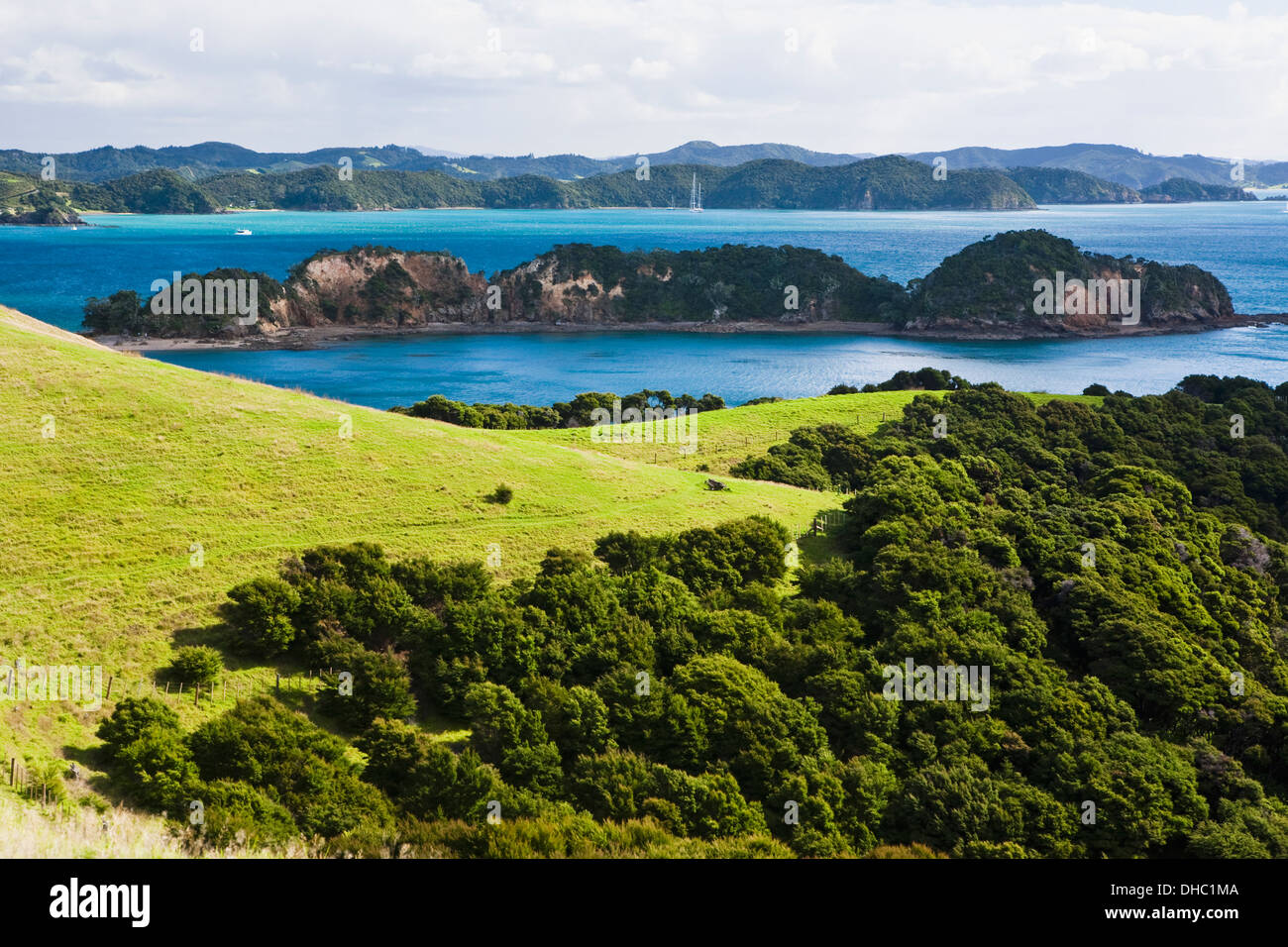 Coastline Of Urupukapuka Island, The Largest Of All The Islands In The ...