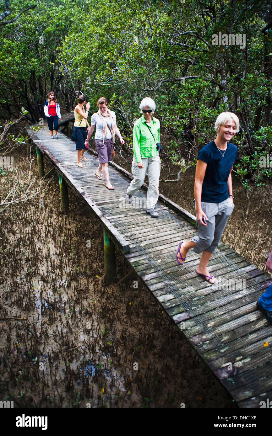 Opua forest paihia hi-res stock photography and images - Alamy