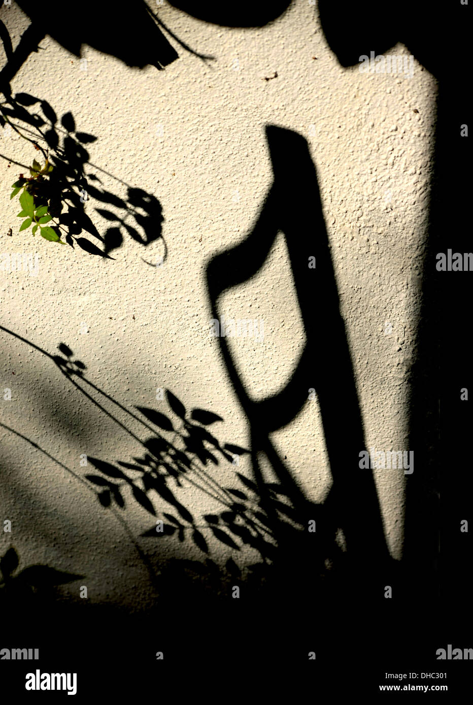 shadow of chair and leaves on white garden wall Stock Photo - Alamy