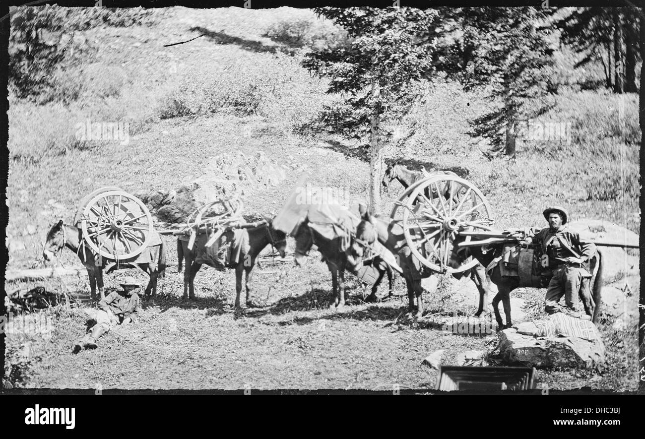 American settlers wagon train hi-res stock photography and images - Alamy