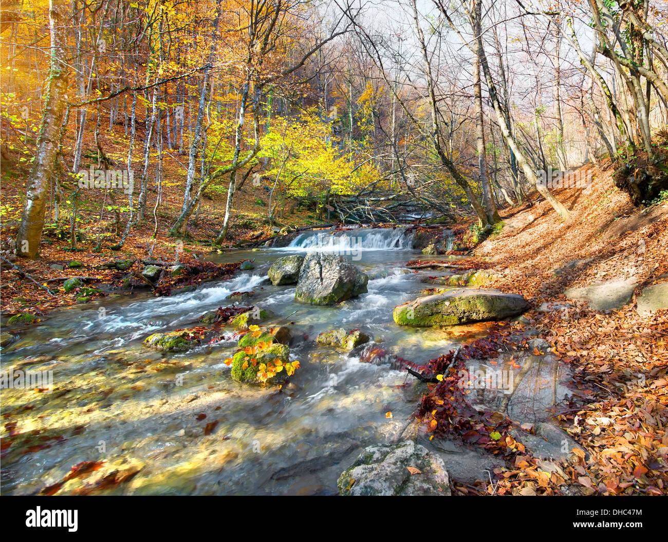 Beautiful fast river in mountain forest at sunrise Stock Photo - Alamy