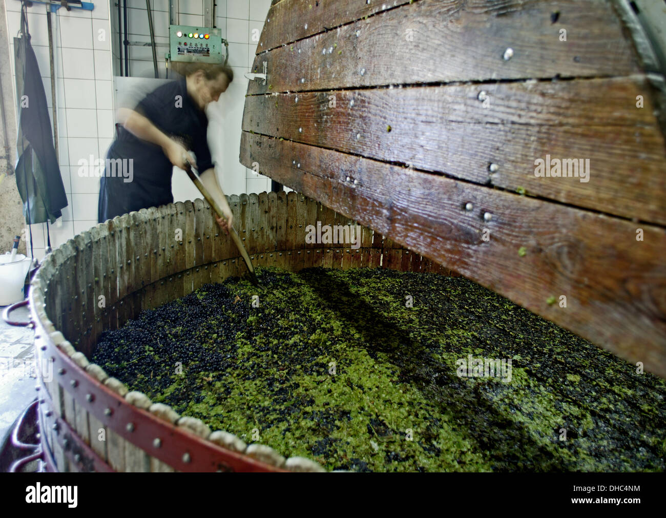 Champagne production in the Vallée de la Marne at the winery of René ...