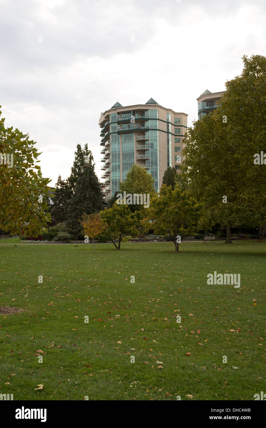 Duck by the river detroit hi-res stock photography and images - Alamy