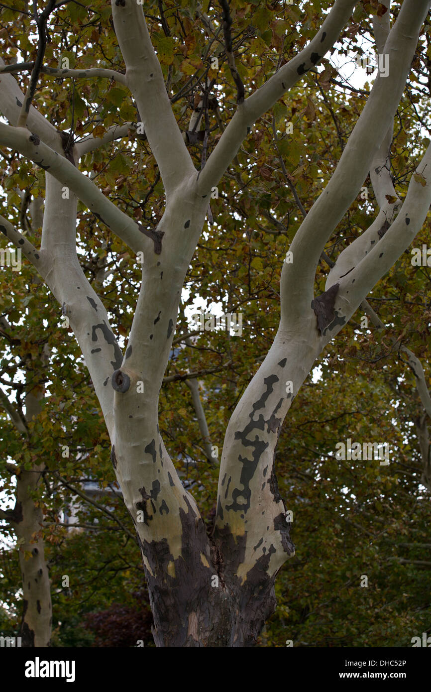 Windsor Ontario Canada Riverside Detroit Park Stock Photo - Alamy