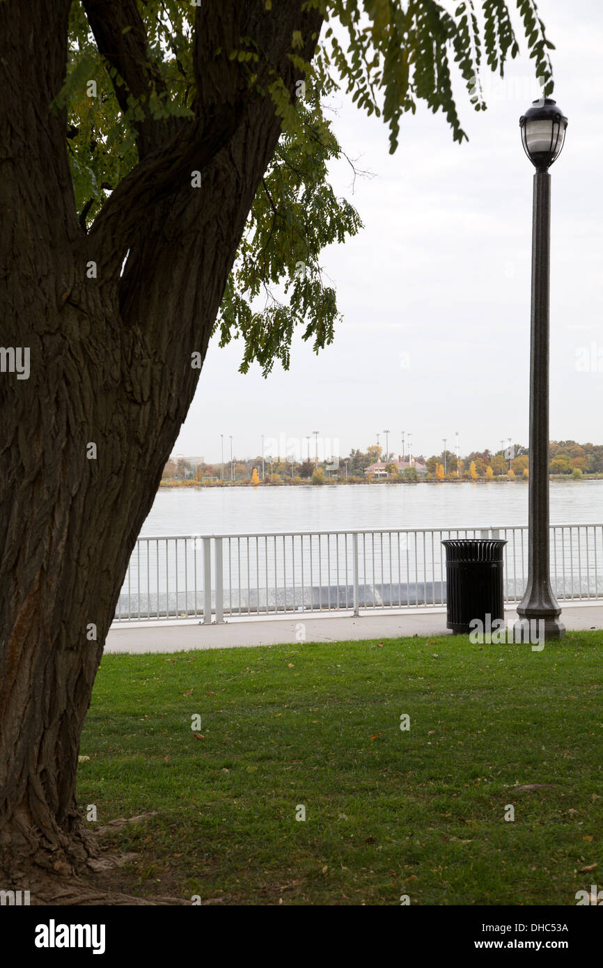 Duck by the river detroit hi-res stock photography and images - Alamy